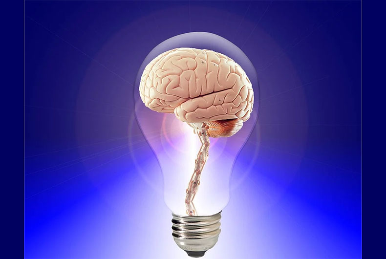 Explained: How brain balances pleasure and pain | ummid.com