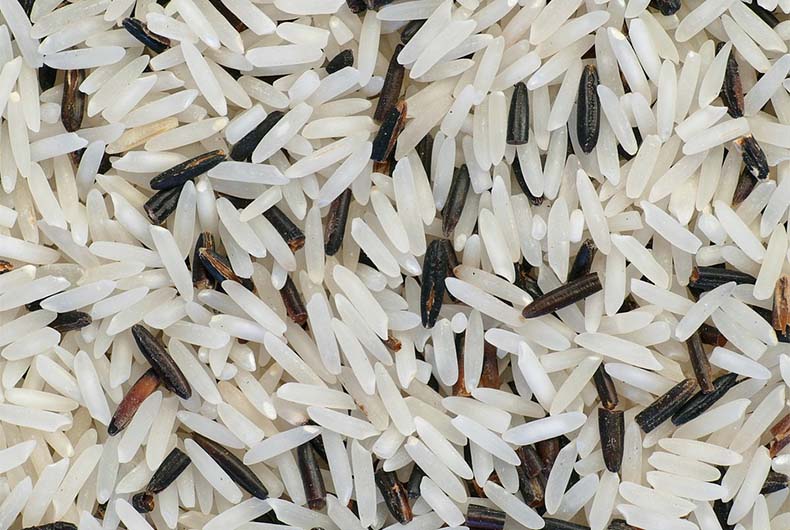 Pakistan, India are joint owner of Basmati Rice | ummid.com
